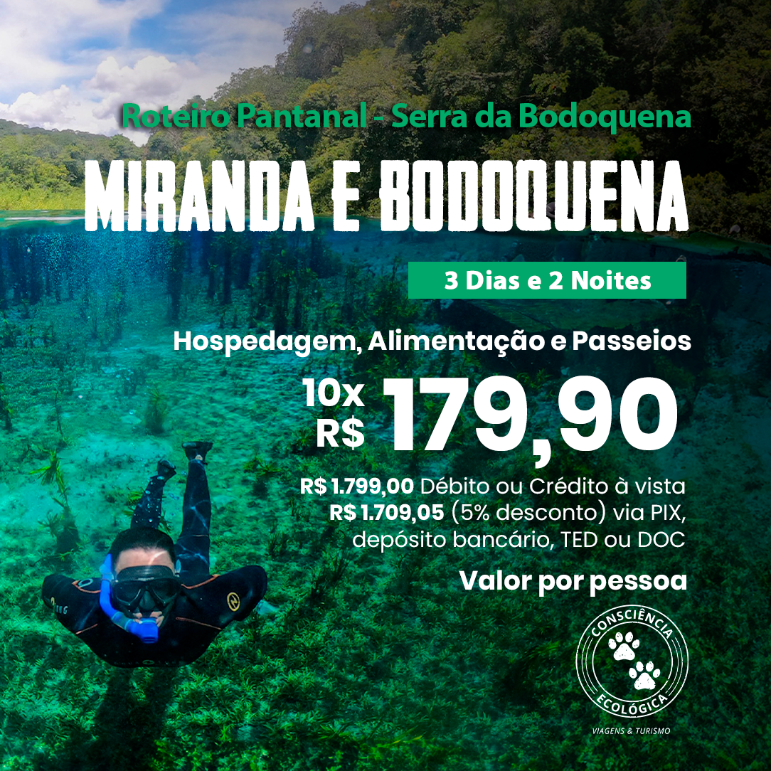 Consciência Ecológica Viagens e Turismo - Miranda - Pantanal Sul - MS